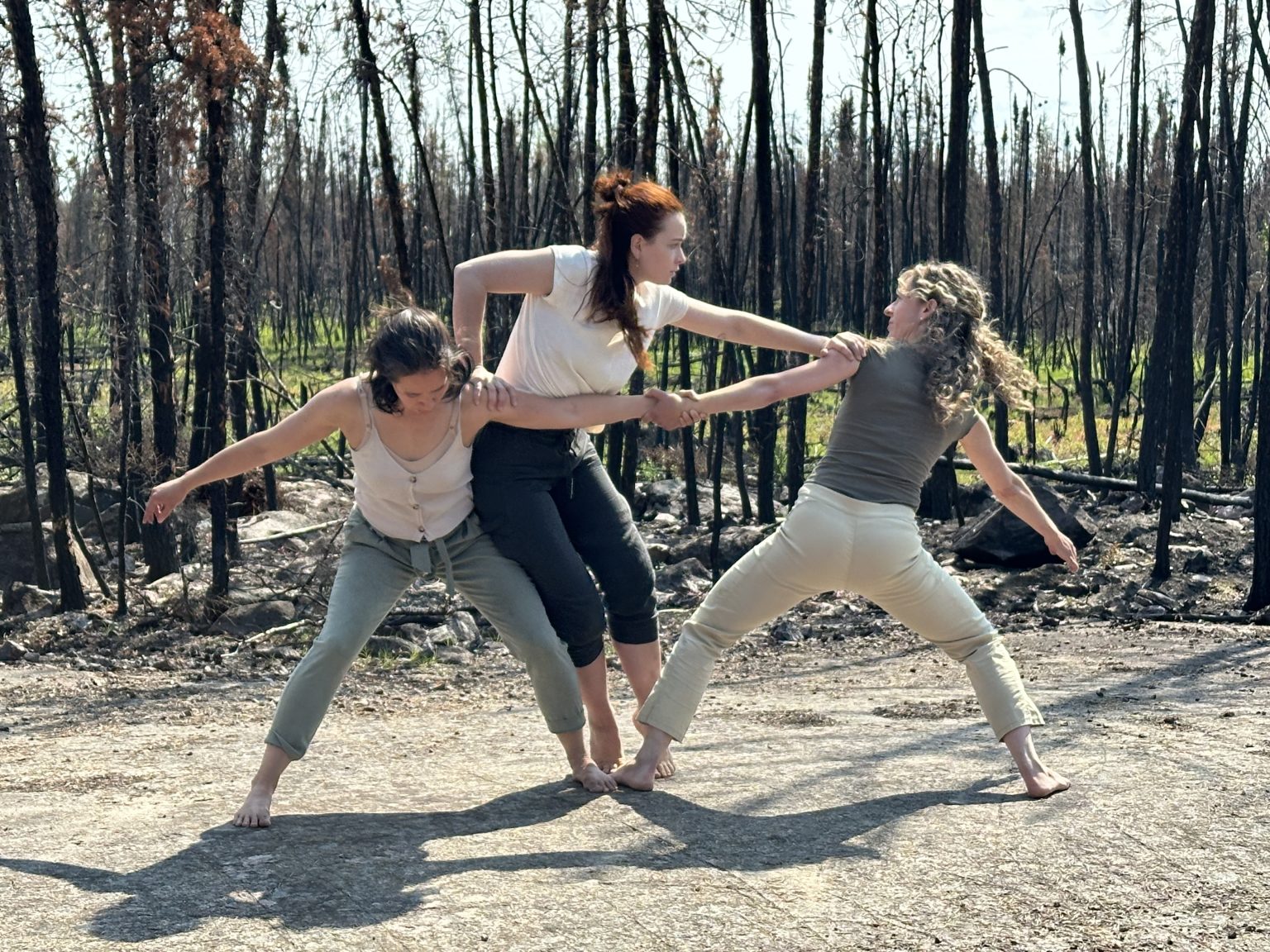 EMERGENCE: WOMEN IN THE STORM World Premiere At Victoria Film Festival ...